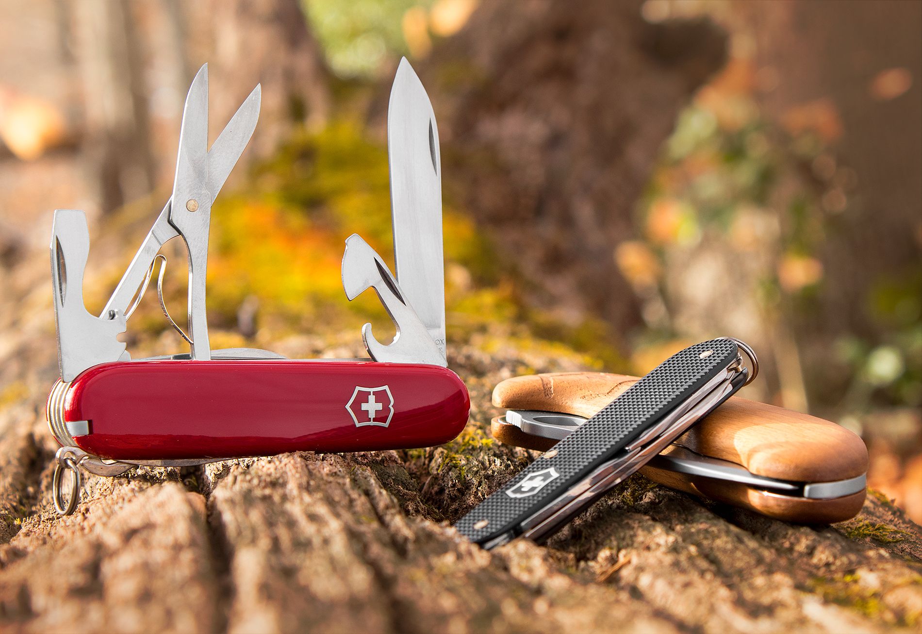 15 Best EDC Knives Of 2025 - Must Have Best Pocket Knife List